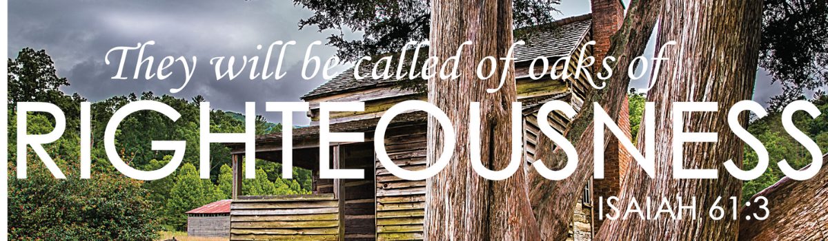 Advent Wednesday Service Dec 16, 2020 - 3rd Week - Grace Lutheran