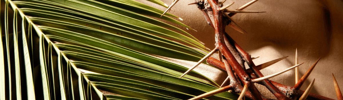 Worship Sunday March 28 Palm Passion Sunday Grace Lutheran