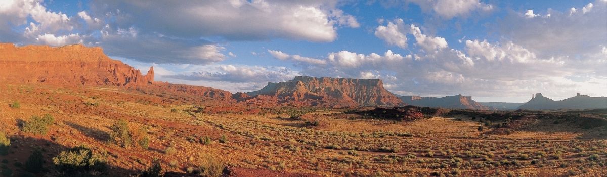 Worship - March 6 - A 40 Day Lenten Journey with Christ - Grace Lutheran